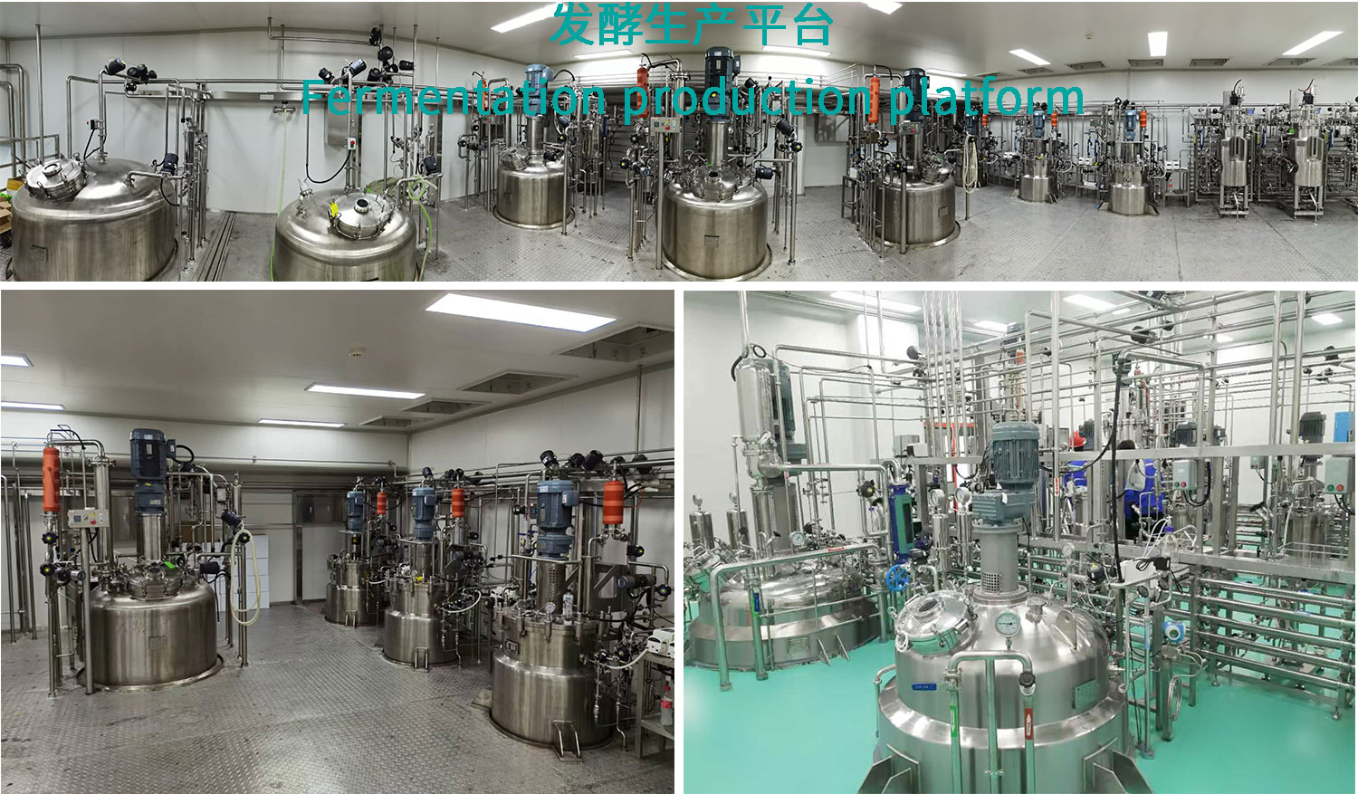 Fermentation production platform-上海保兴生物设备工程有限公司